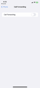 How to Forward Calls on iPhone 15: Step-by-Step - GadgetMates